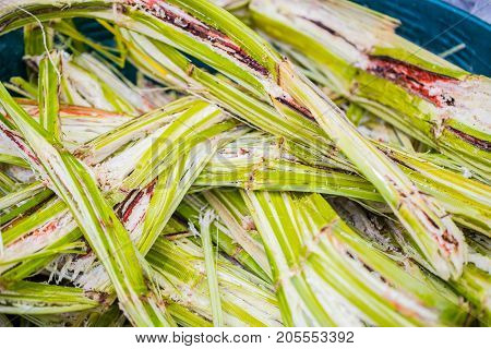 Sugar Cane Recycling Image & Photo (Free Trial) | Bigstock