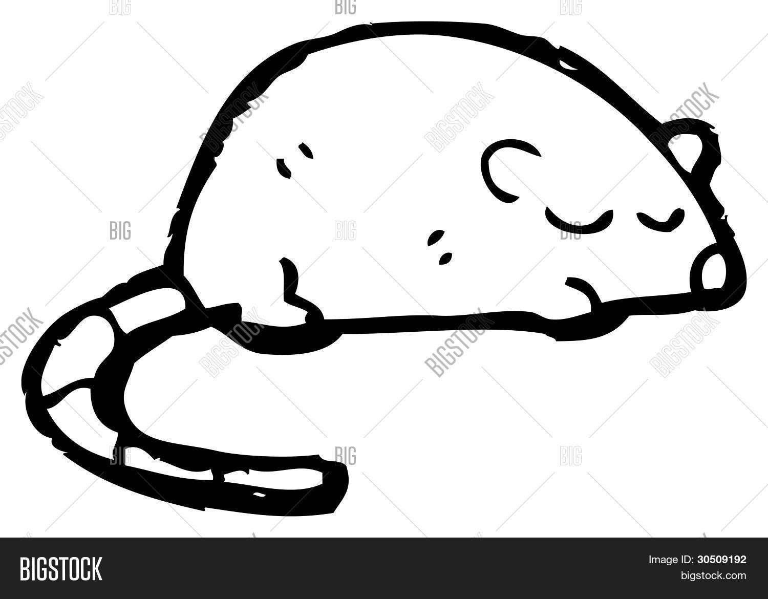 Cartoon Sleeping Mouse Image & Photo (Free Trial) | Bigstock