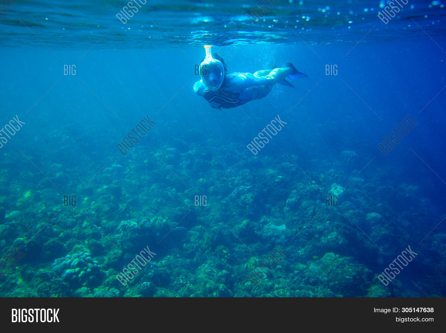 Woman Dives Coral Reef Image & Photo (Free Trial) | Bigstock