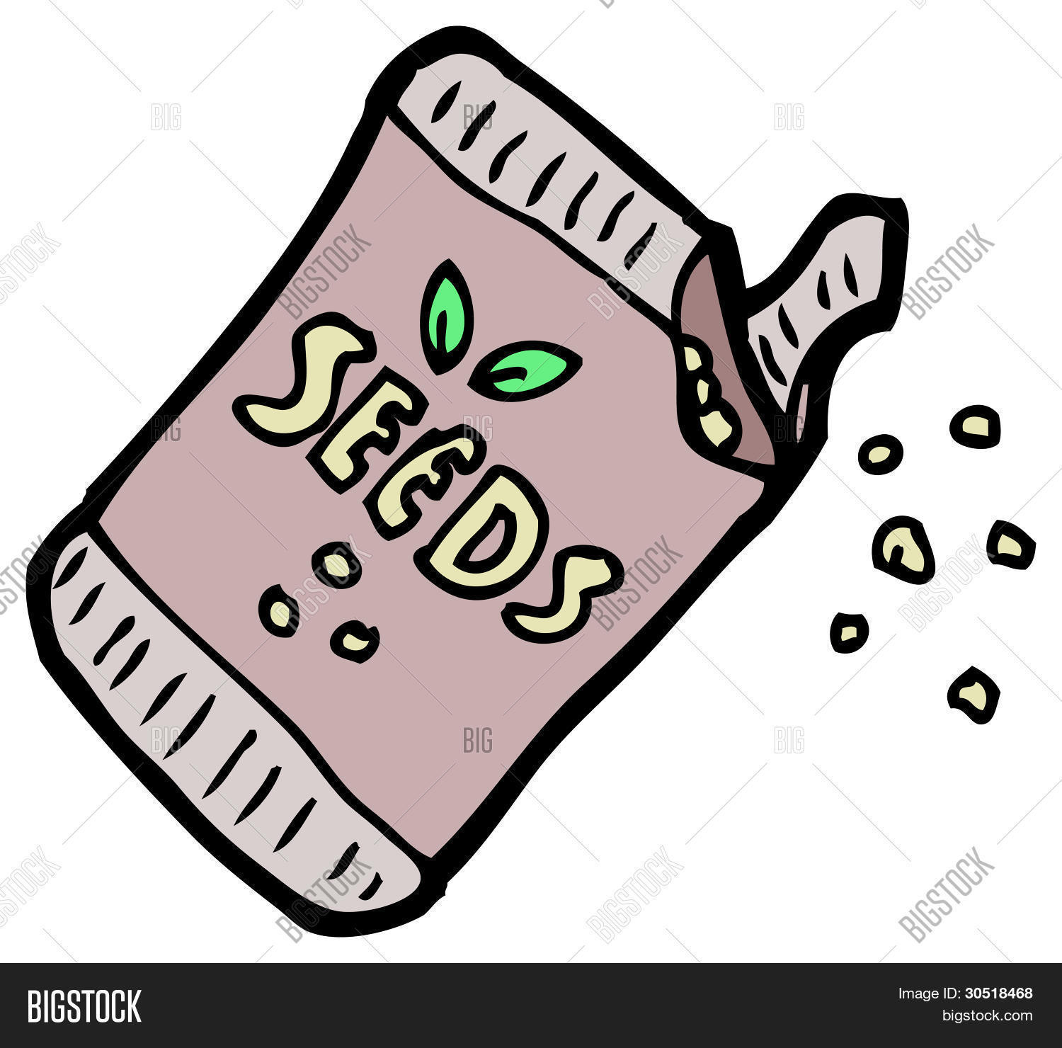Cartoon Seed Packet Image & Photo (Free Trial) | Bigstock