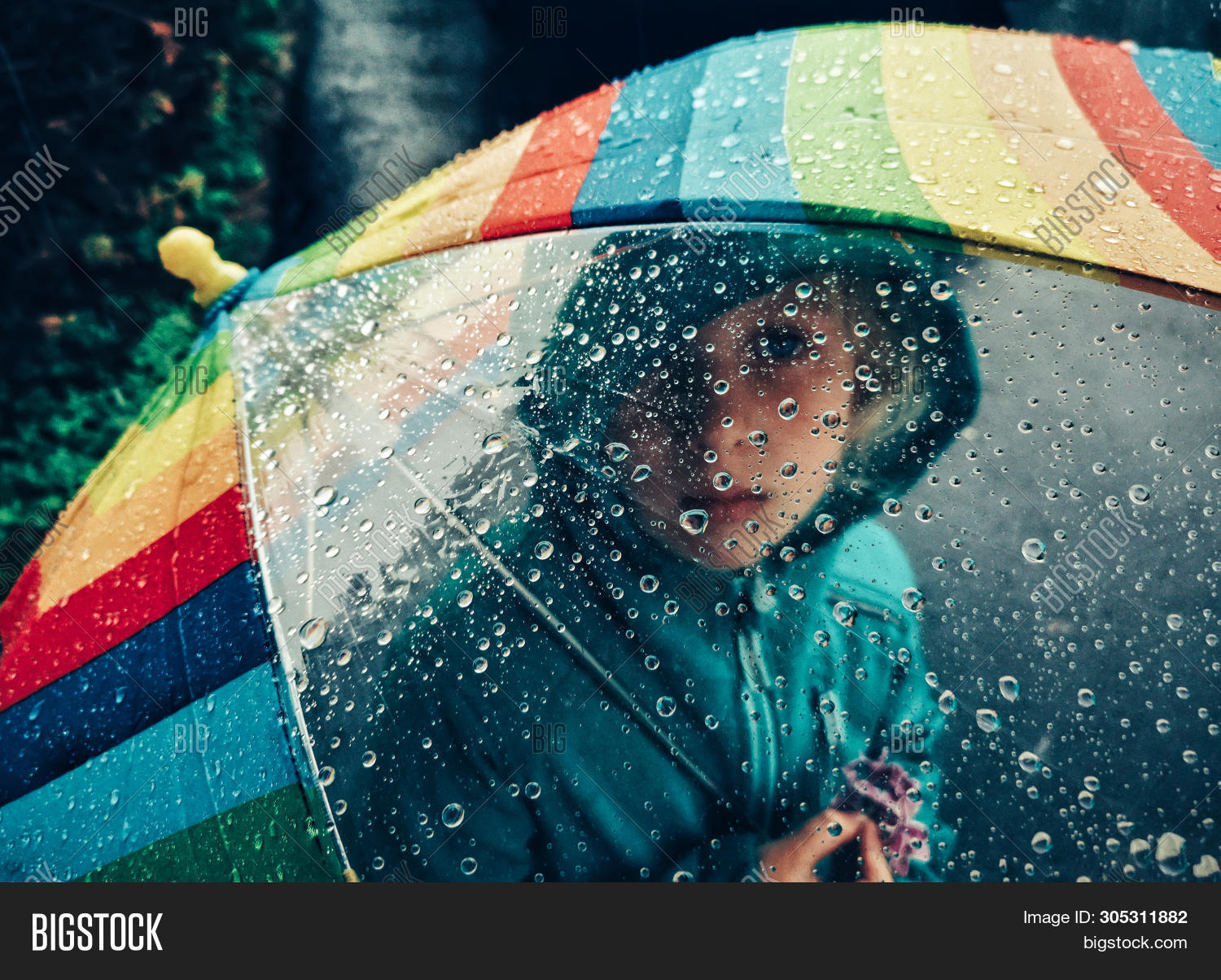 Closeup Portrait Image & Photo (Free Trial) | Bigstock