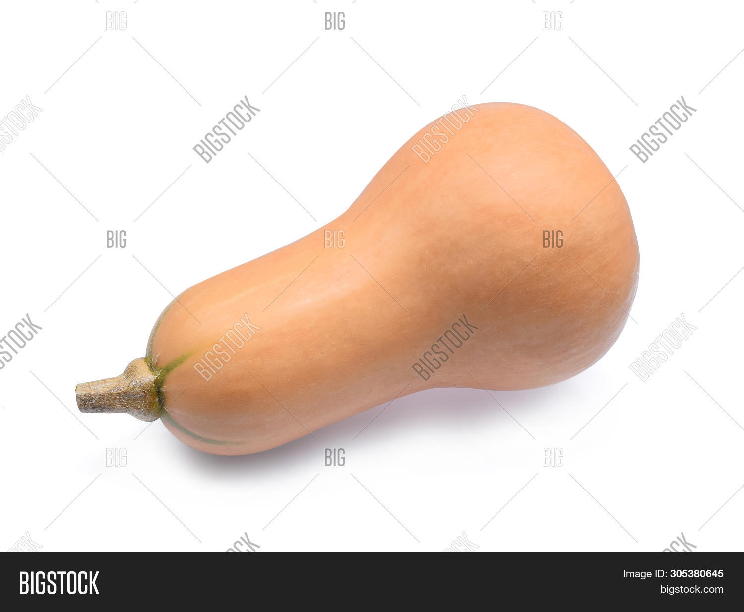 Raw Butternut Squash Image & Photo (Free Trial) | Bigstock