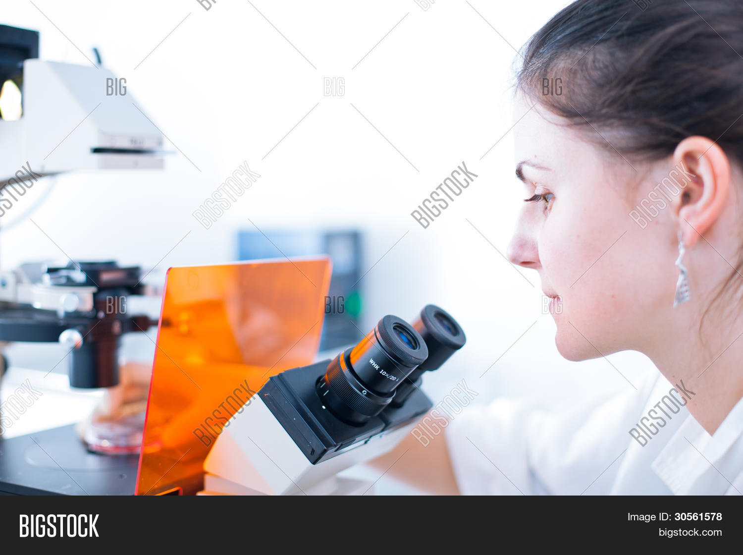 Portrait Female Image & Photo (Free Trial) | Bigstock