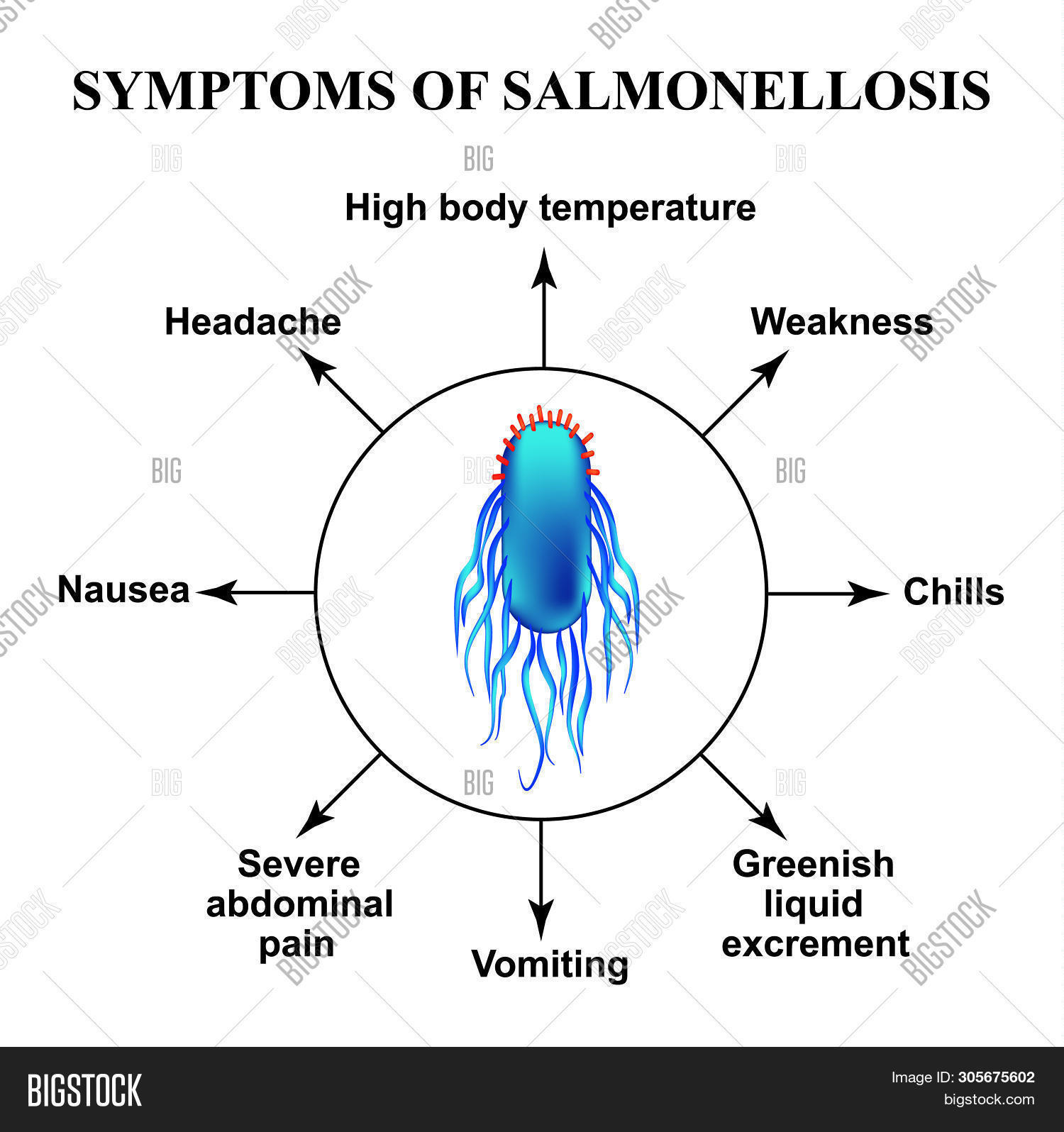 Symptoms Salmonellosis Image & Photo (Free Trial) | Bigstock