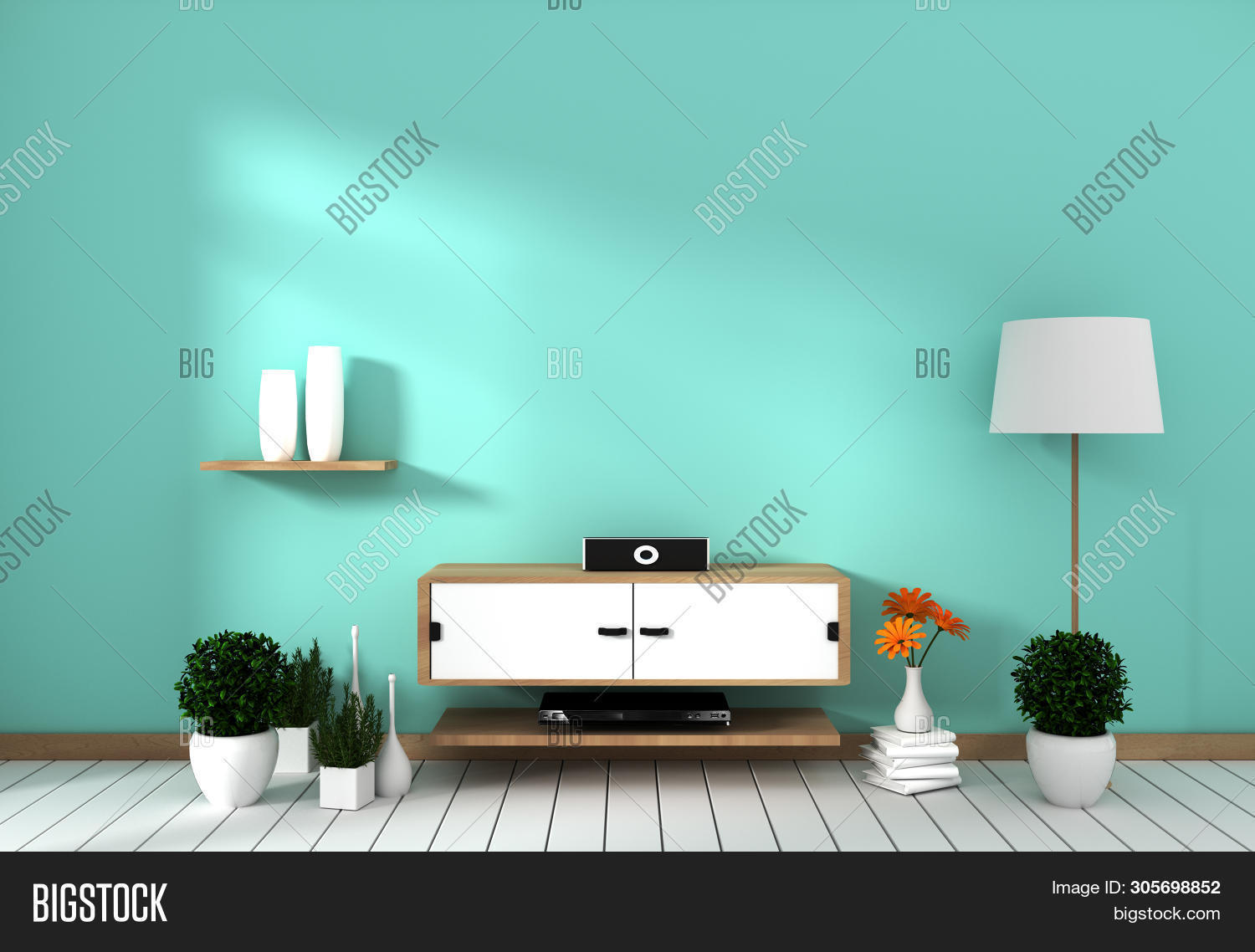 Tv Shelf Mint Room Image & Photo (Free Trial) | Bigstock