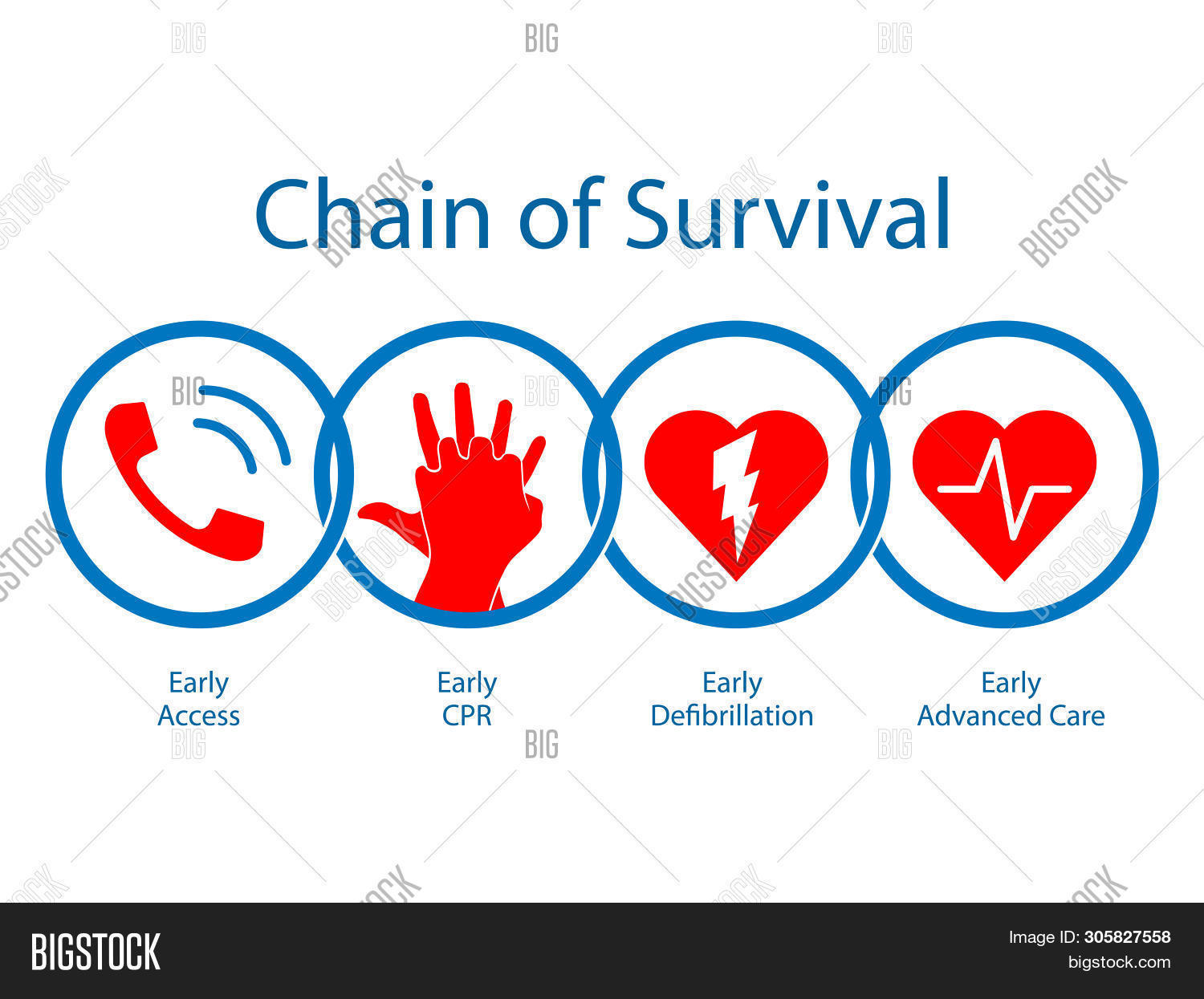 Survival Chain. Image & Photo (Free Trial) | Bigstock