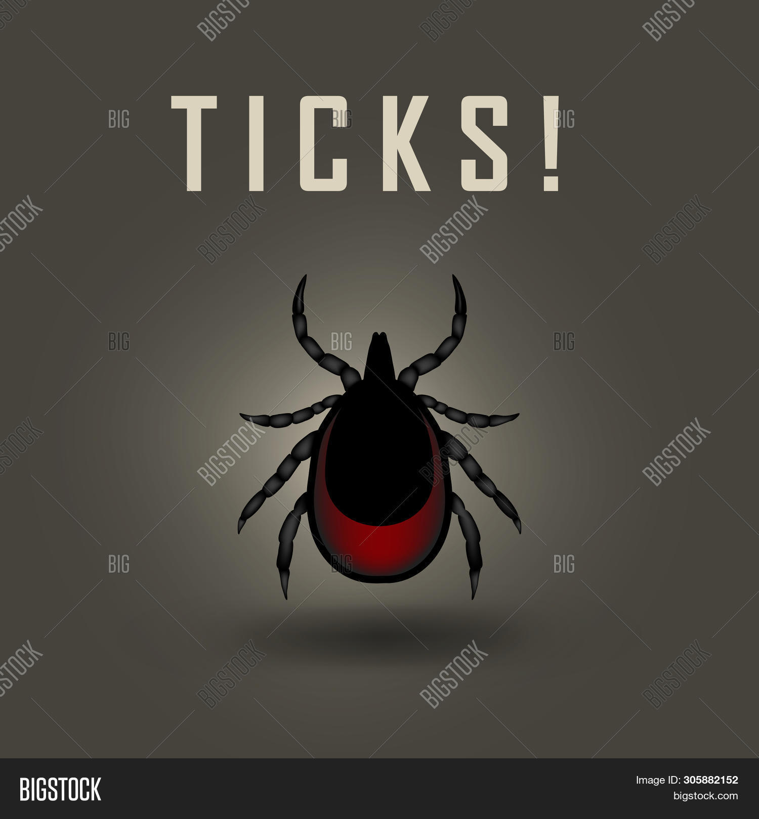 Vector Image Tick Red Vector & Photo (Free Trial) | Bigstock