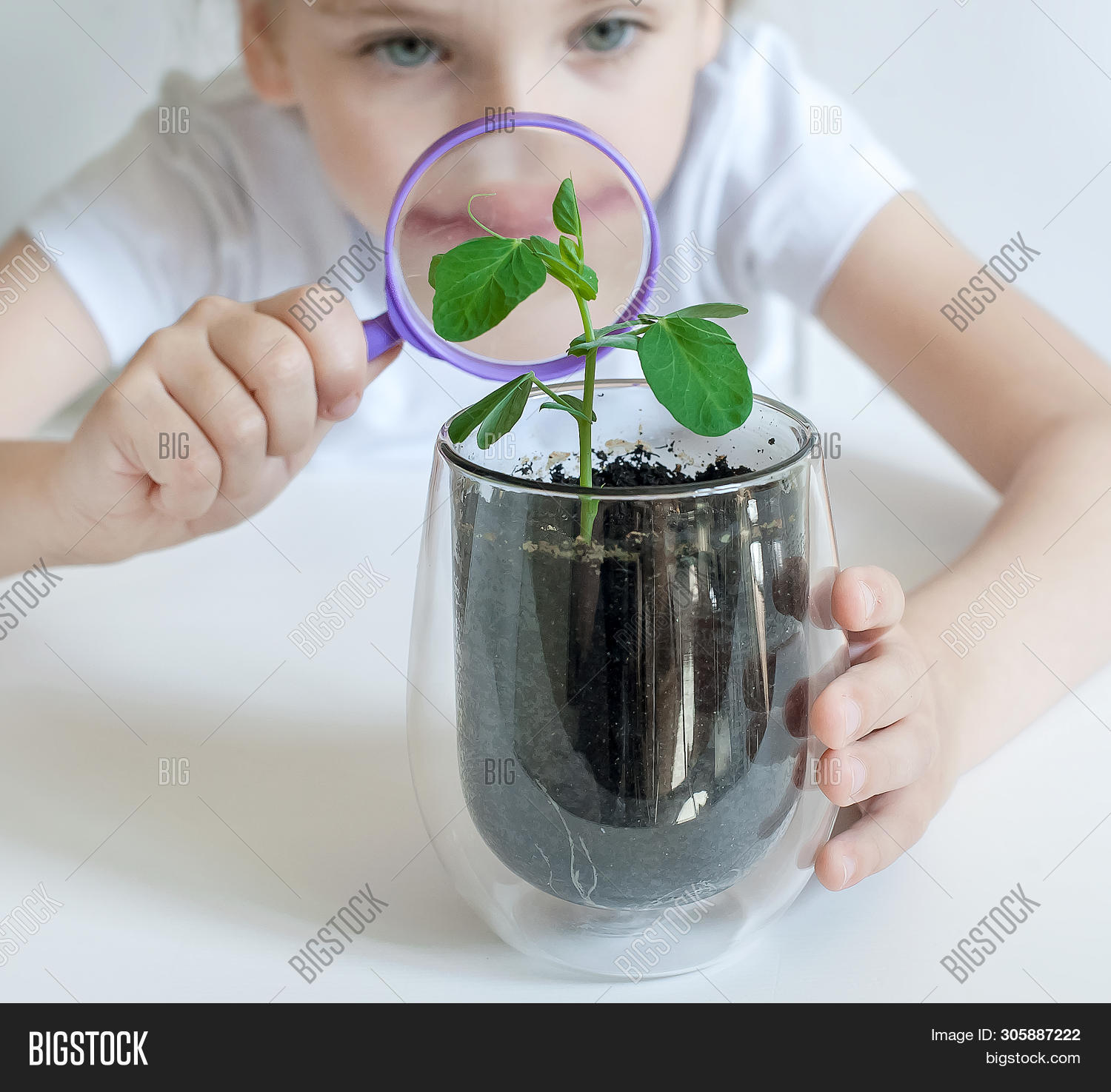 Child Looking Small Image & Photo (Free Trial) | Bigstock