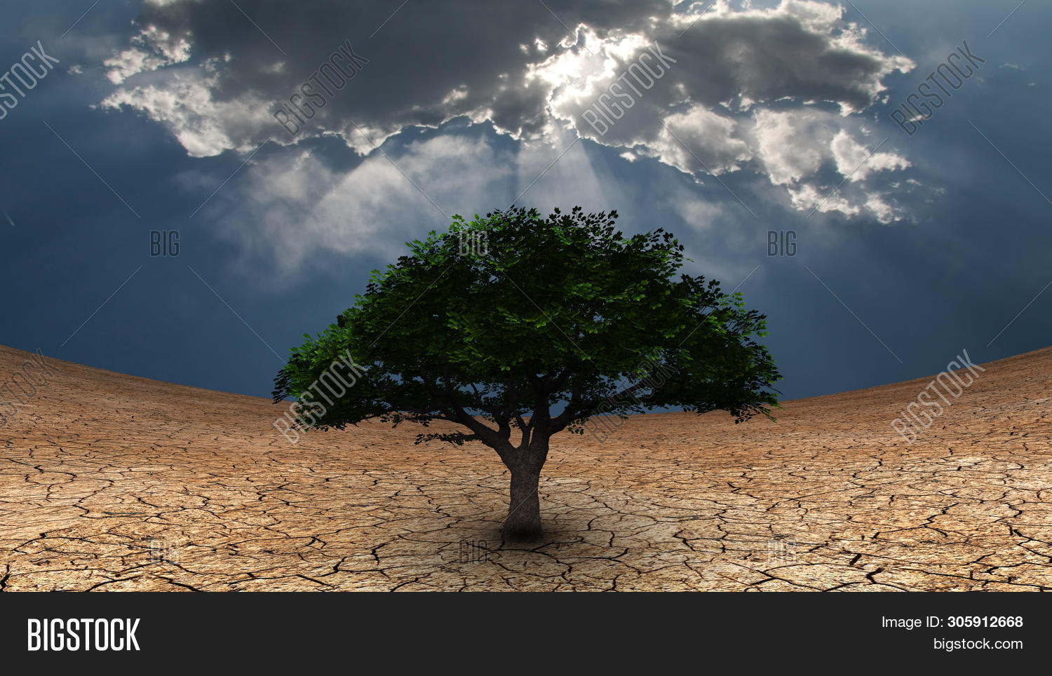 Surrealism. Green Tree Image & Photo (Free Trial) | Bigstock