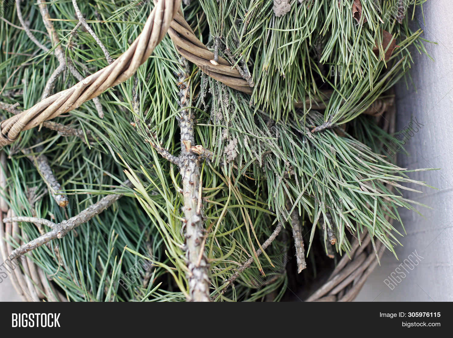 Pine Needles Basket. Image & Photo (Free Trial) | Bigstock