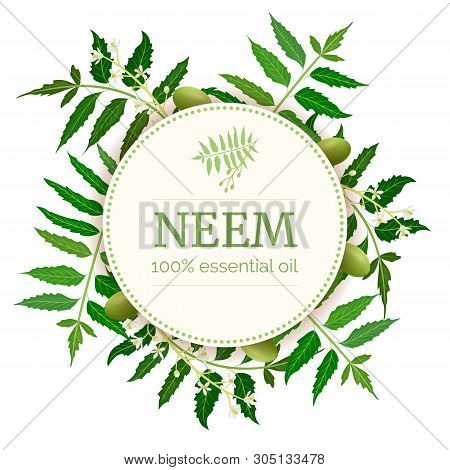 Neem Round Circle Vector & Photo (Free Trial) | Bigstock