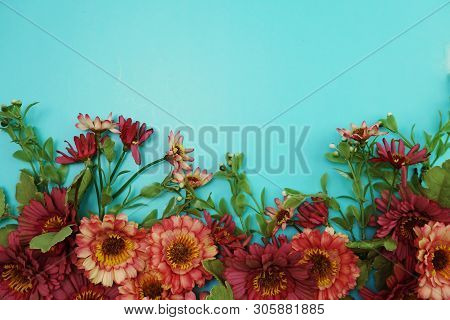 Pink Daisy Flower Image & Photo (Free Trial) | Bigstock