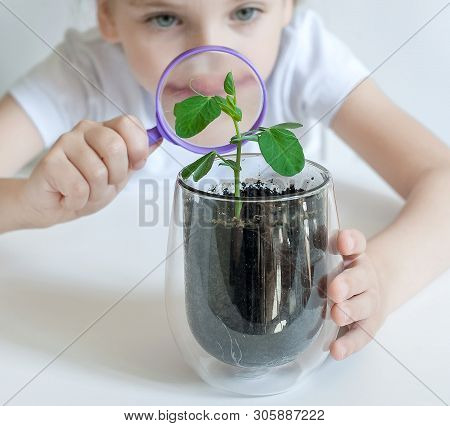 Child Looking Small Image & Photo (Free Trial) | Bigstock