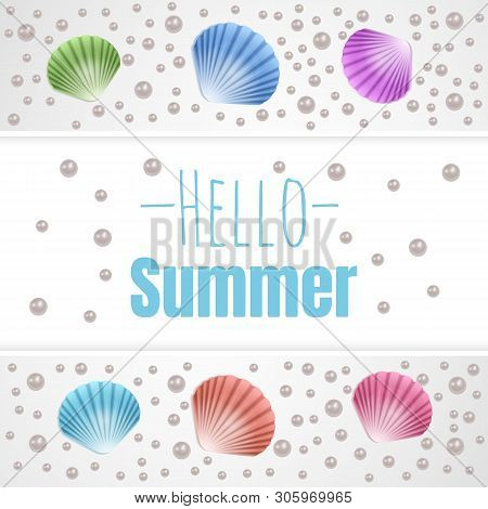 Seashell Element Your Vector & Photo (Free Trial) | Bigstock