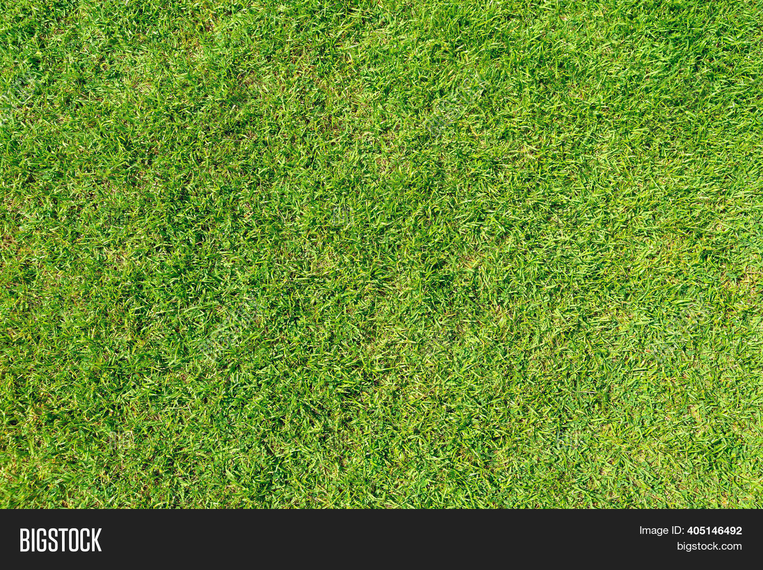 Green Grass Texture Image & Photo (Free Trial) | Bigstock