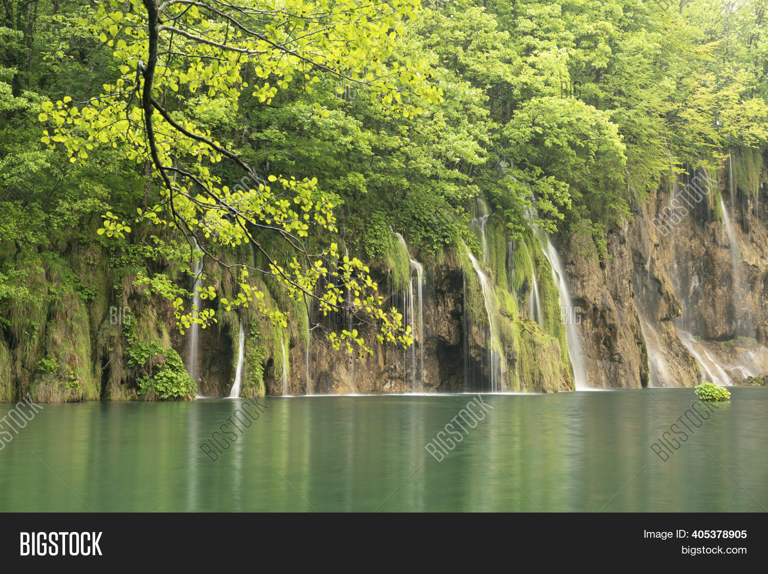 Waterfall Branch Tree Image & Photo (Free Trial) | Bigstock