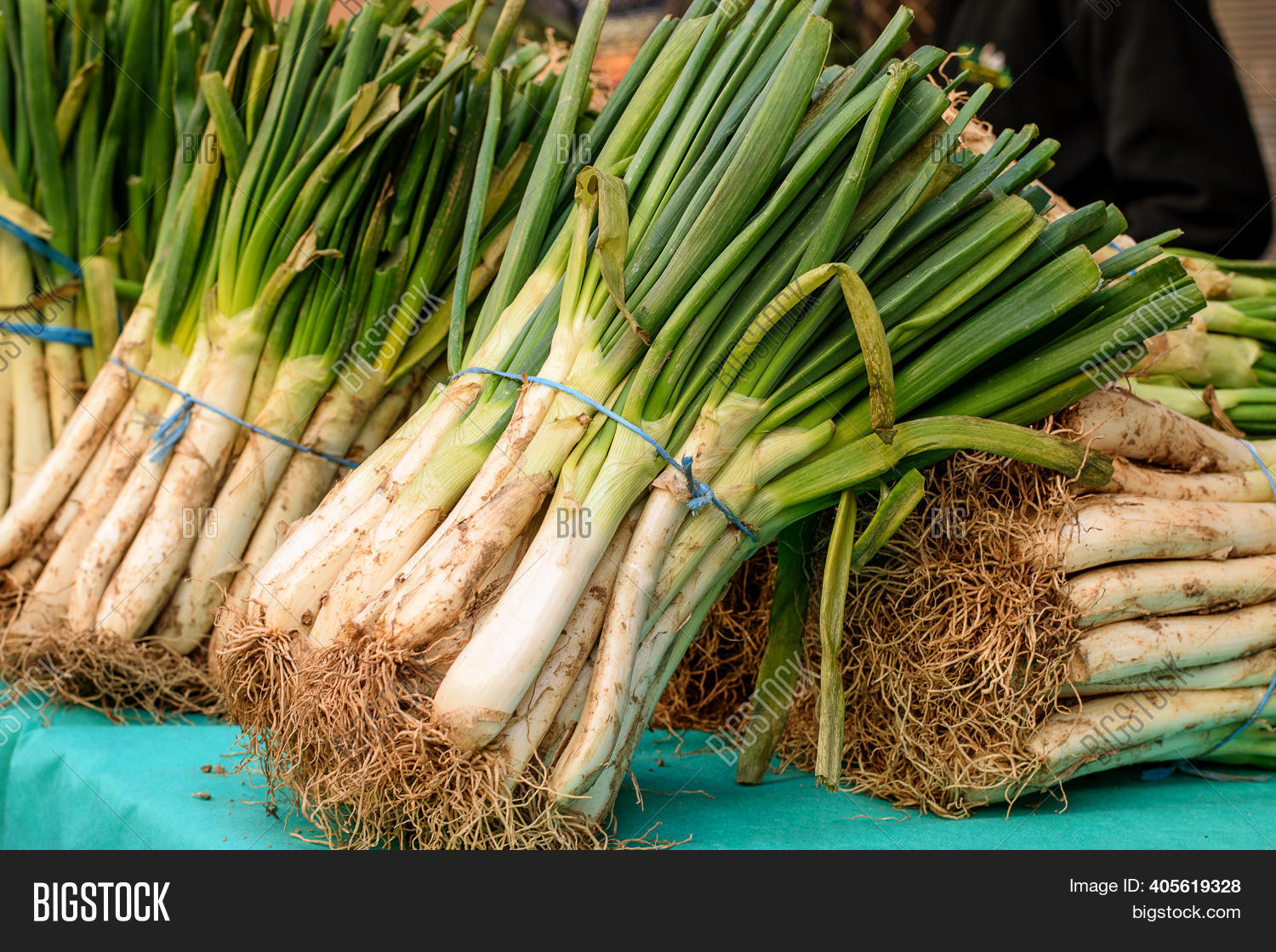 Big Bundles Spring Image & Photo (Free Trial) | Bigstock