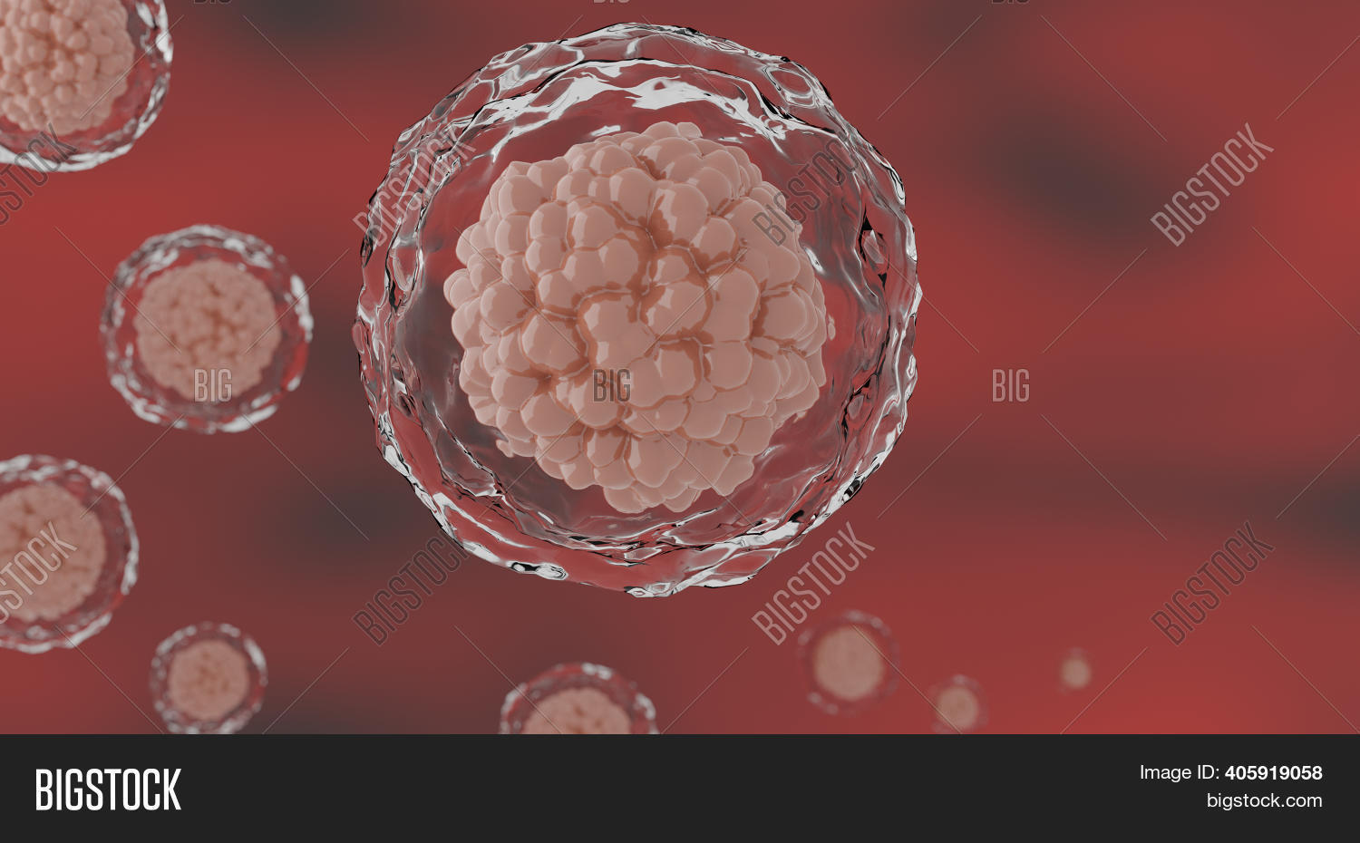 3d : Human Cell Image & Photo (Free Trial) | Bigstock