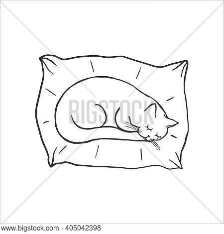 Cute Sleeping Cat On Vector & Photo (Free Trial) | Bigstock