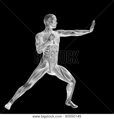3D Human Man Muscles Image & Photo (Free Trial) | Bigstock