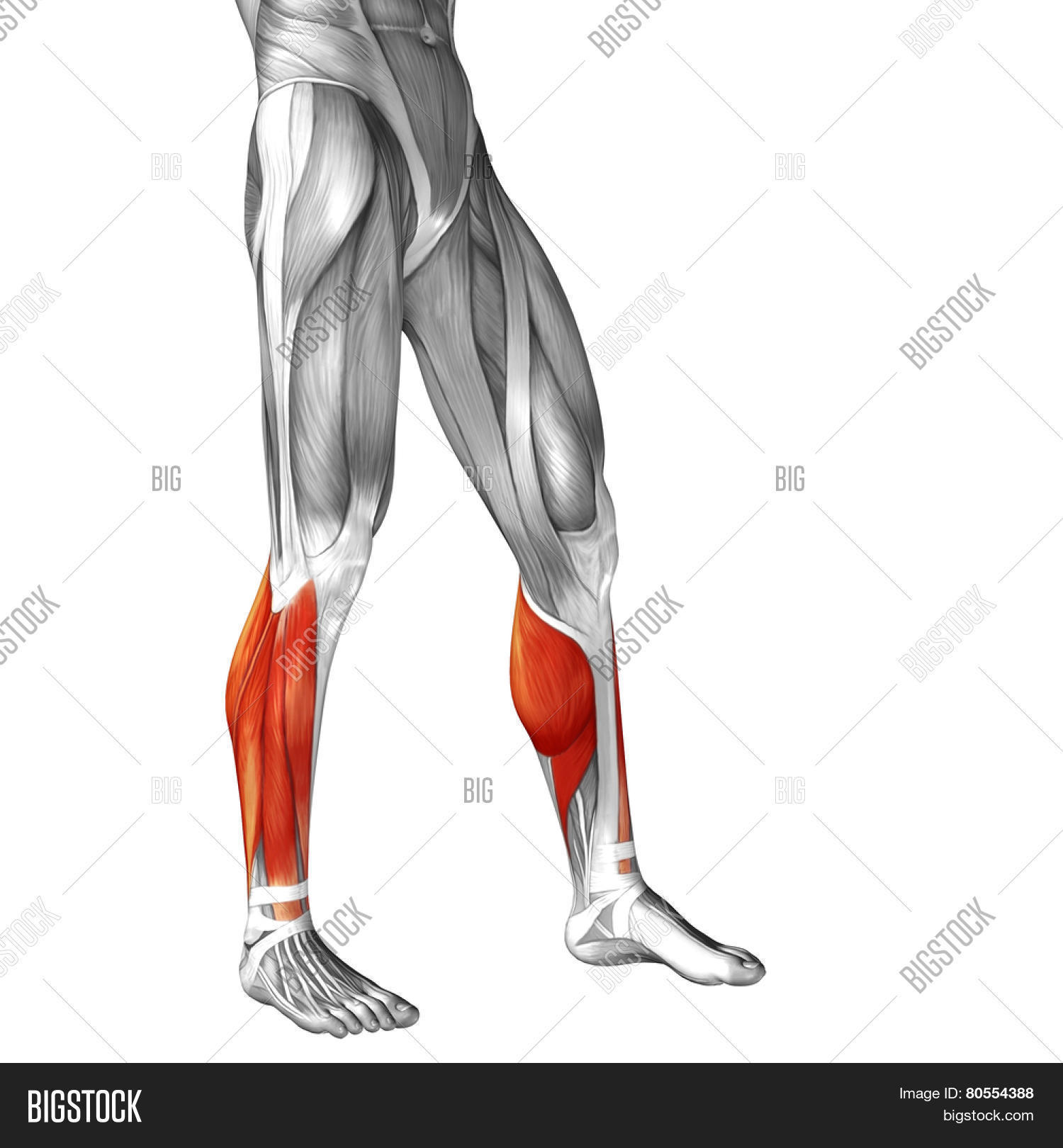 Concept Conceptual 3D Image & Photo (Free Trial) | Bigstock
