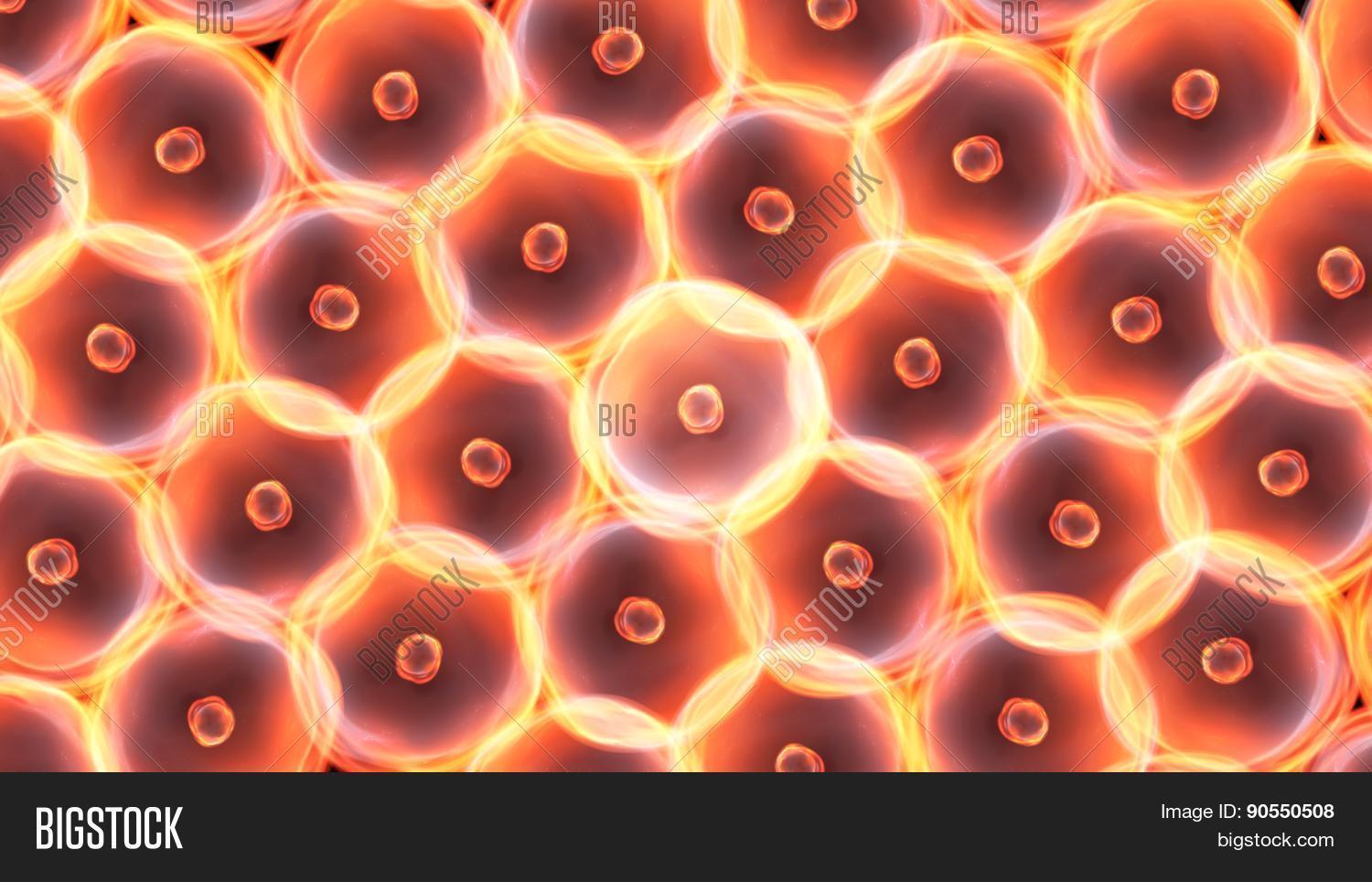 Cells Large Size Image & Photo (Free Trial) | Bigstock