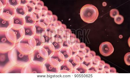 Pink Skin Cells Moving Image & Photo (Free Trial) | Bigstock