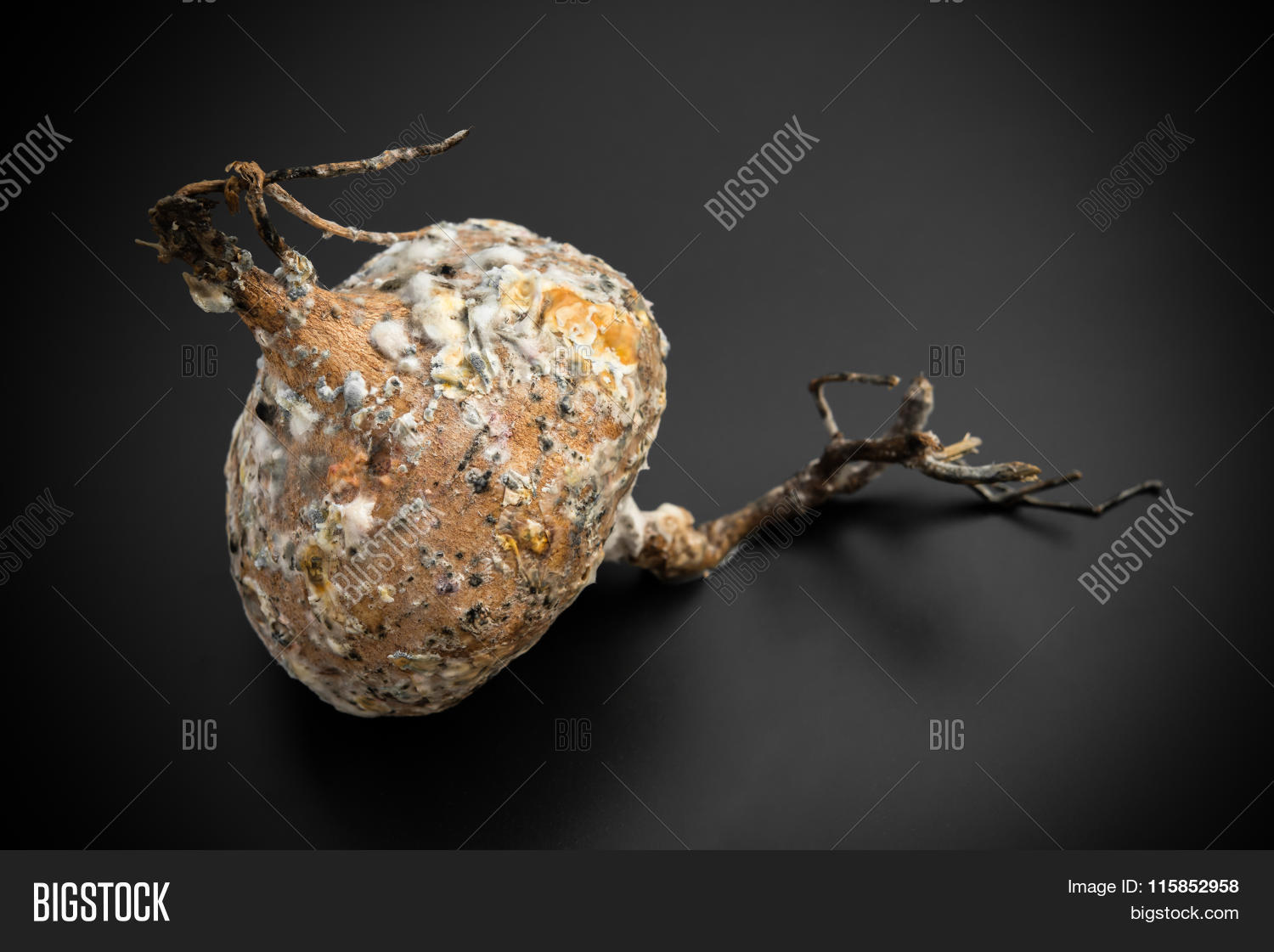 Rotten Jicama Yam-bean Image & Photo (Free Trial) | Bigstock