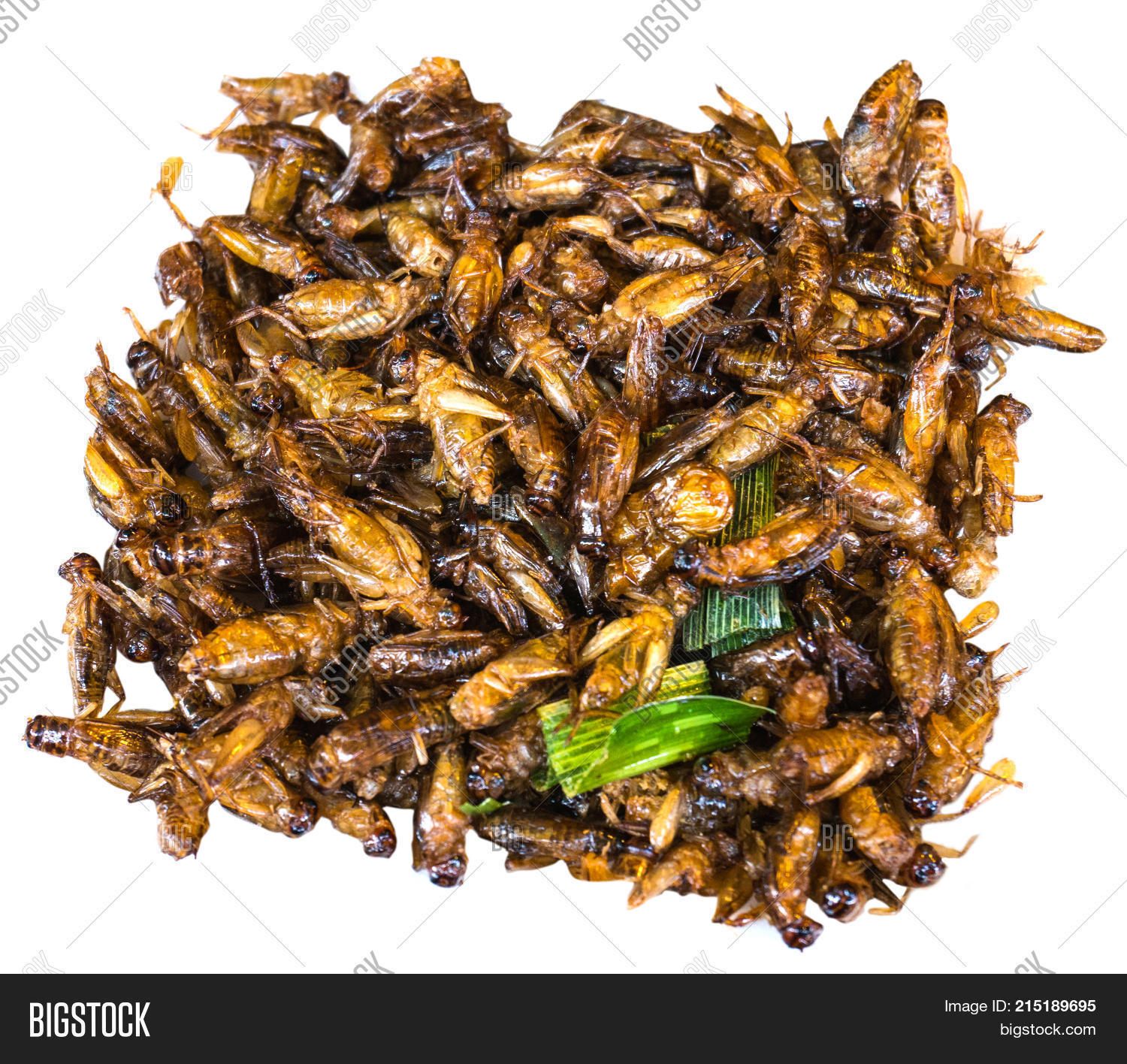 Fried Grasshoppers