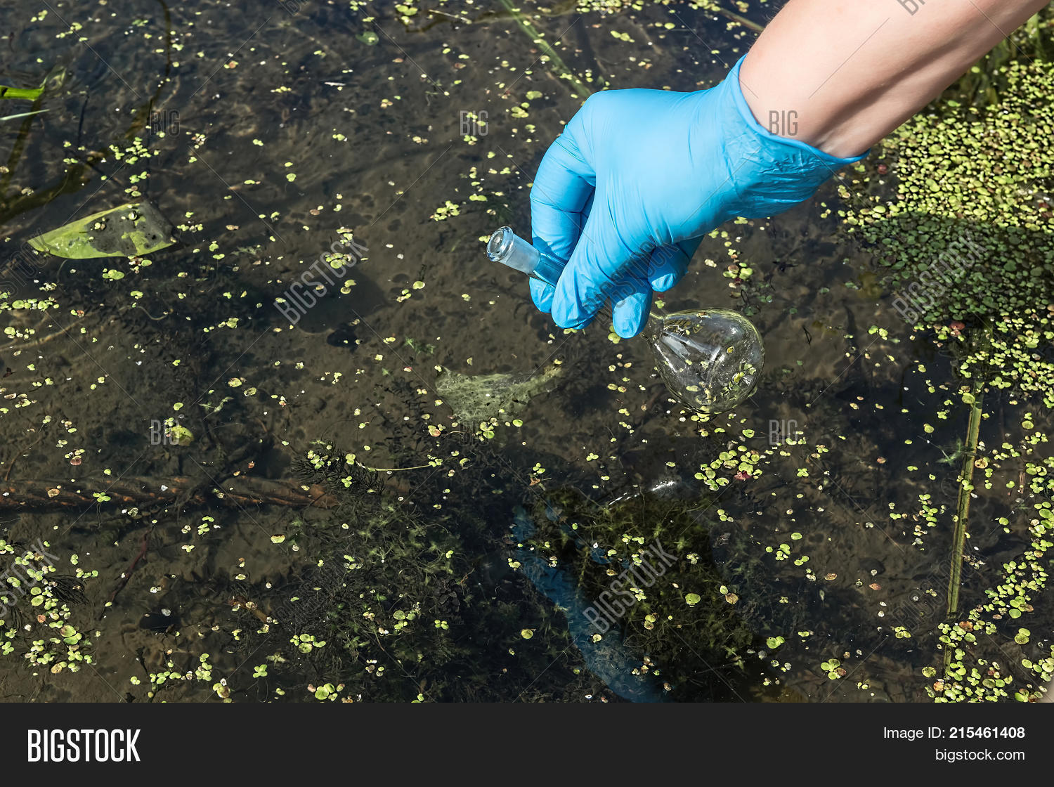 Water Sample River. Image & Photo (Free Trial) | Bigstock