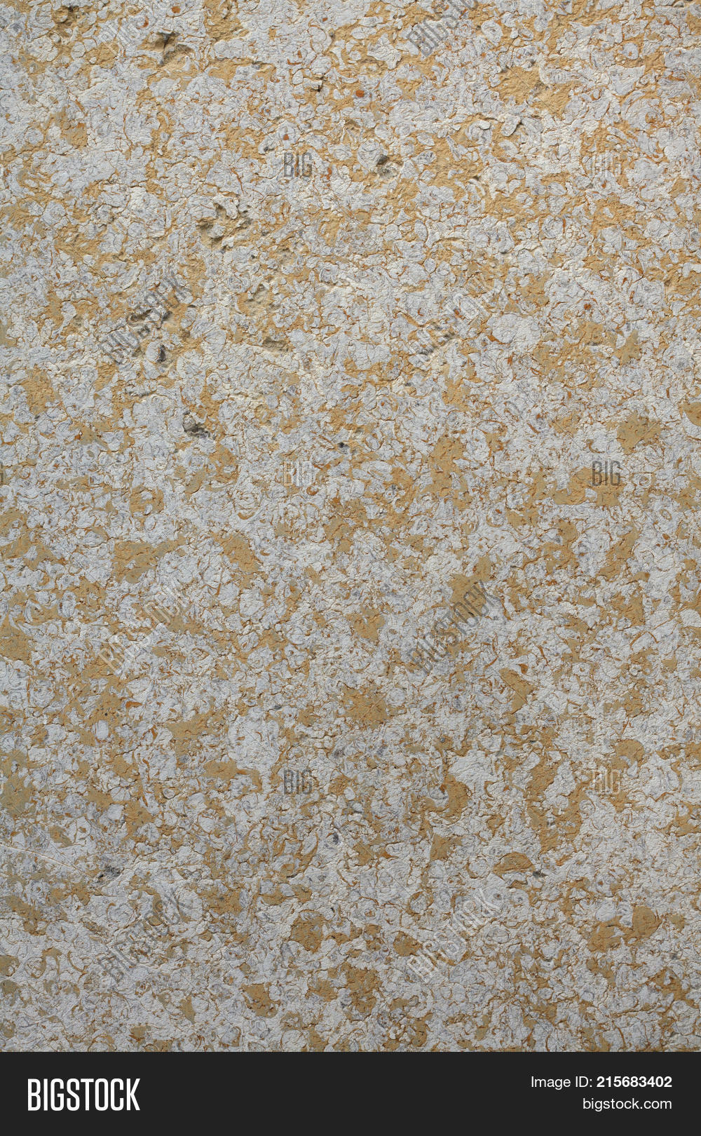 Limestone Facade Panel Image & Photo (Free Trial) | Bigstock