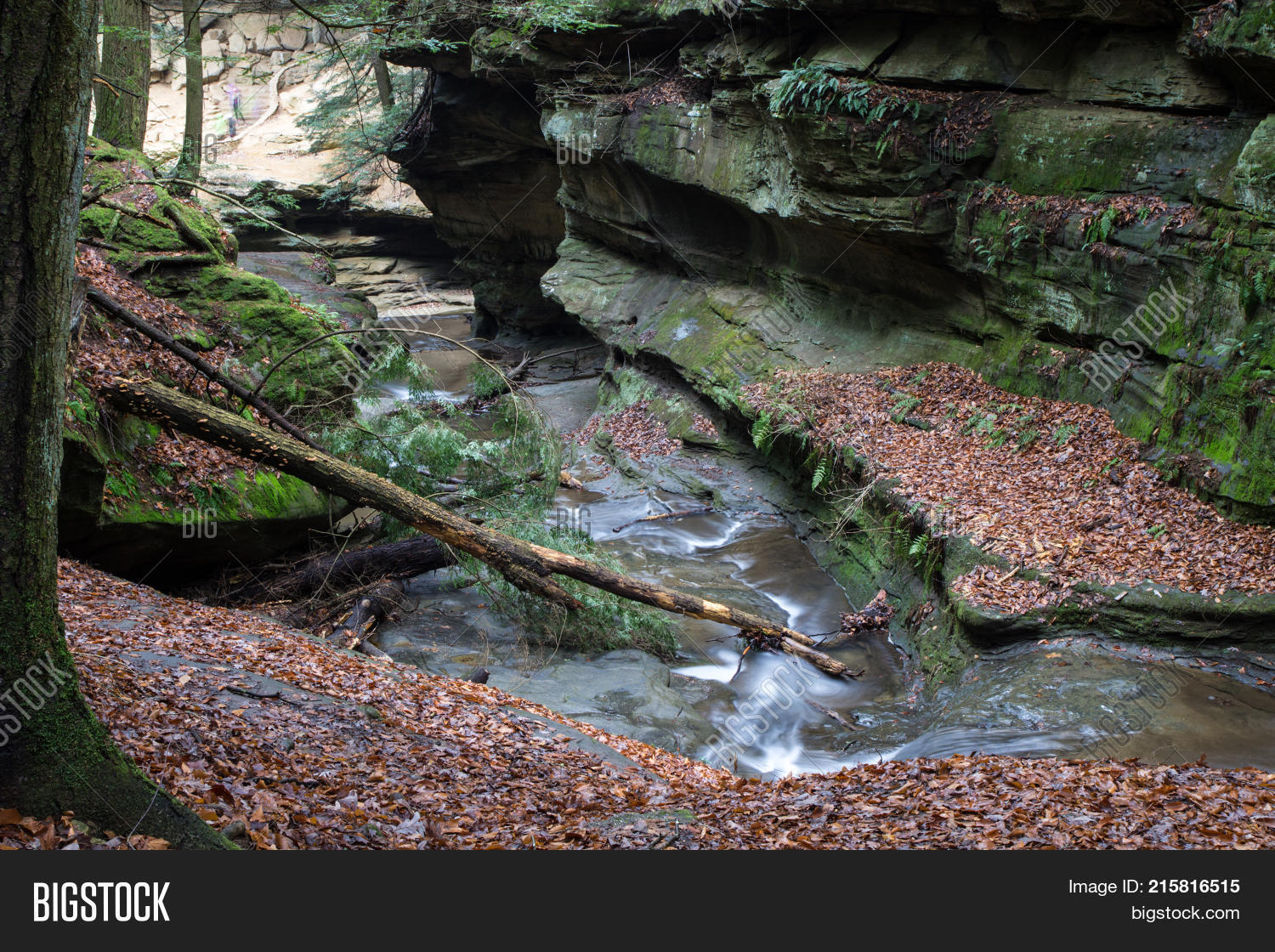 Hocking Hills River Image & Photo (Free Trial) | Bigstock