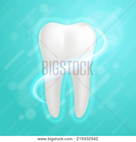White Molar Tooth Vector & Photo (Free Trial) | Bigstock
