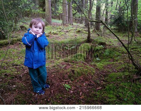 Scared Boy Dark Forest Image & Photo (Free Trial) | Bigstock