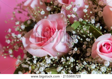 Candy Bar. Cage Image & Photo (Free Trial) | Bigstock