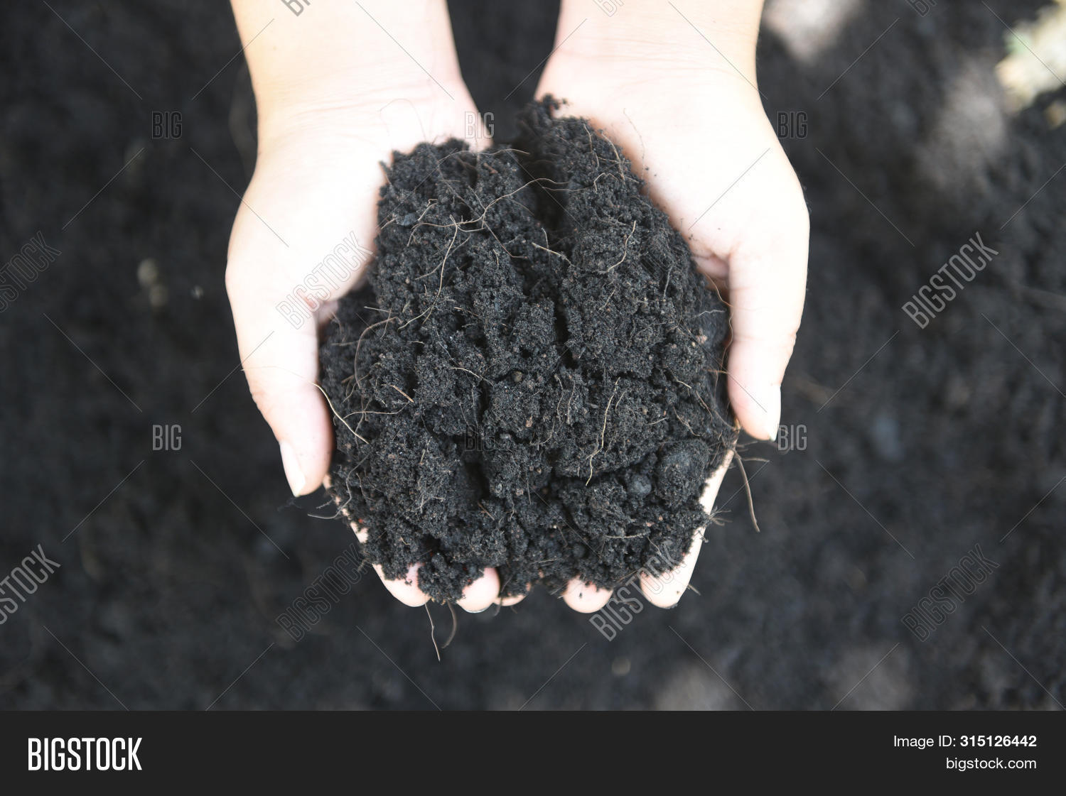 Soil Hand Planting Image & Photo (Free Trial) | Bigstock