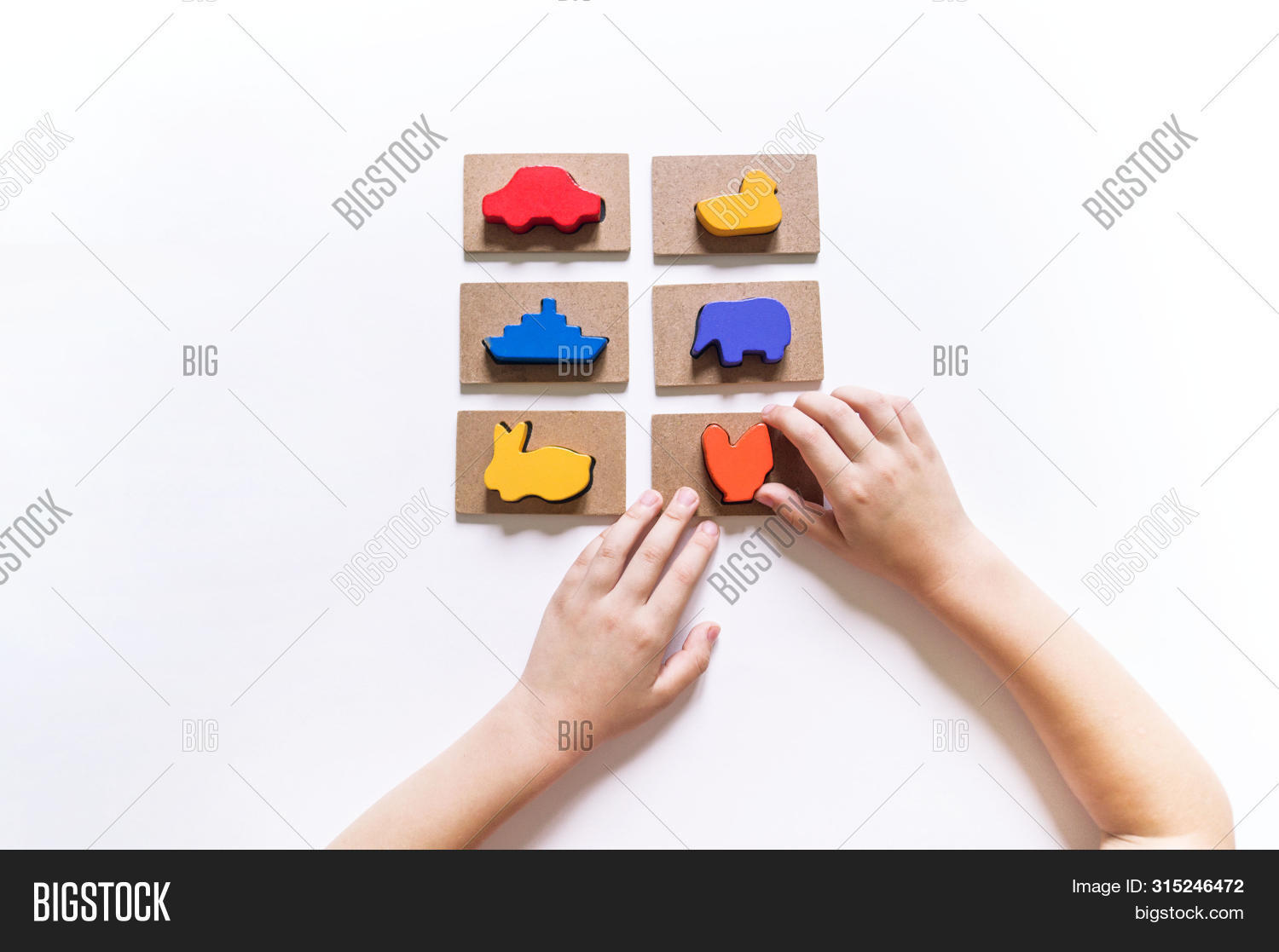 Sorting Montessori Image & Photo (Free Trial) | Bigstock
