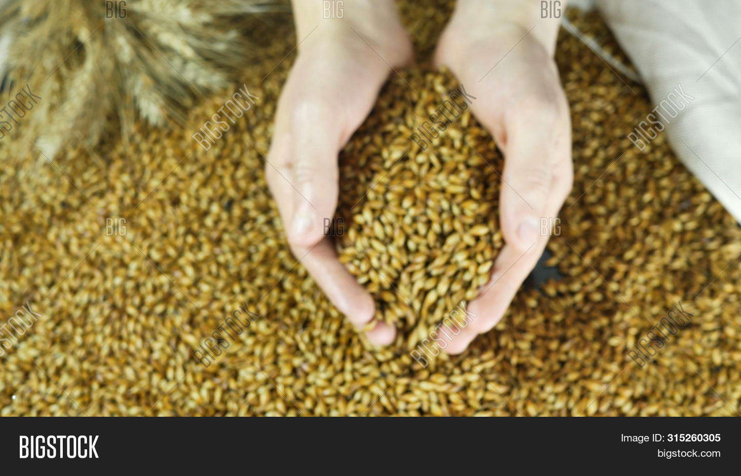 Background Beer Malt Image & Photo (Free Trial) | Bigstock