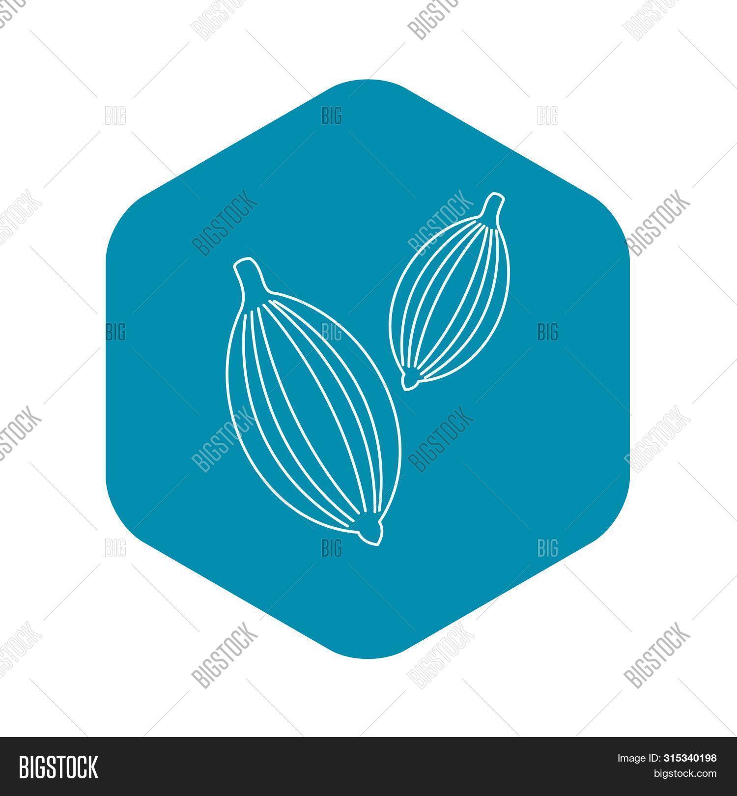 Cardamom Icon. Outline Image & Photo (Free Trial) | Bigstock