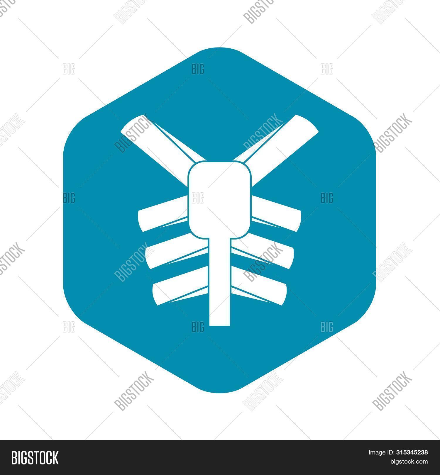 Human Thorax Icon. Image & Photo (Free Trial) | Bigstock