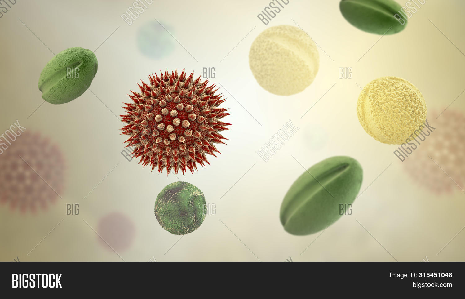Pollen Grains Image & Photo (Free Trial) | Bigstock