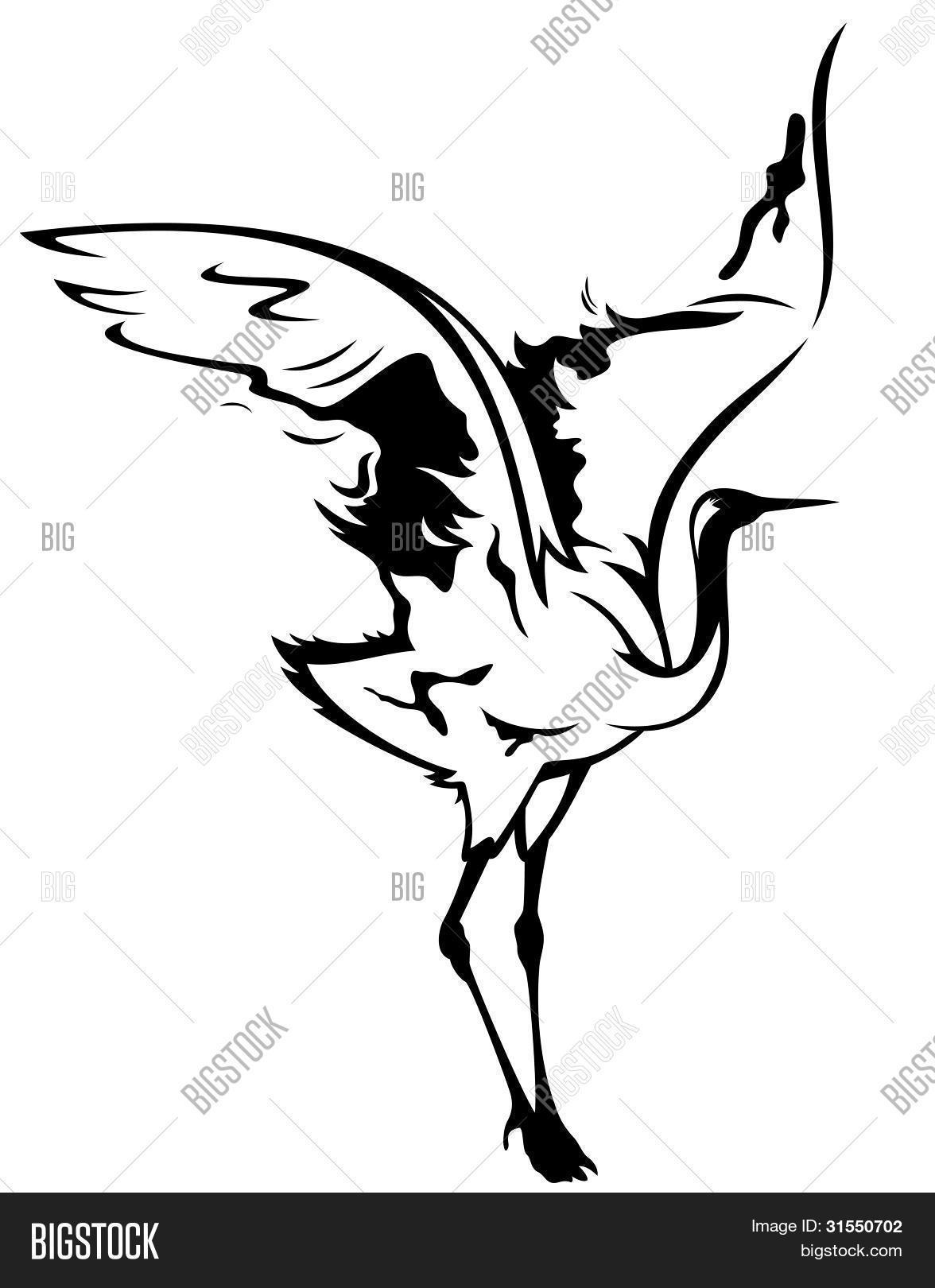 Crane Bird Vector & Photo (Free Trial) | Bigstock