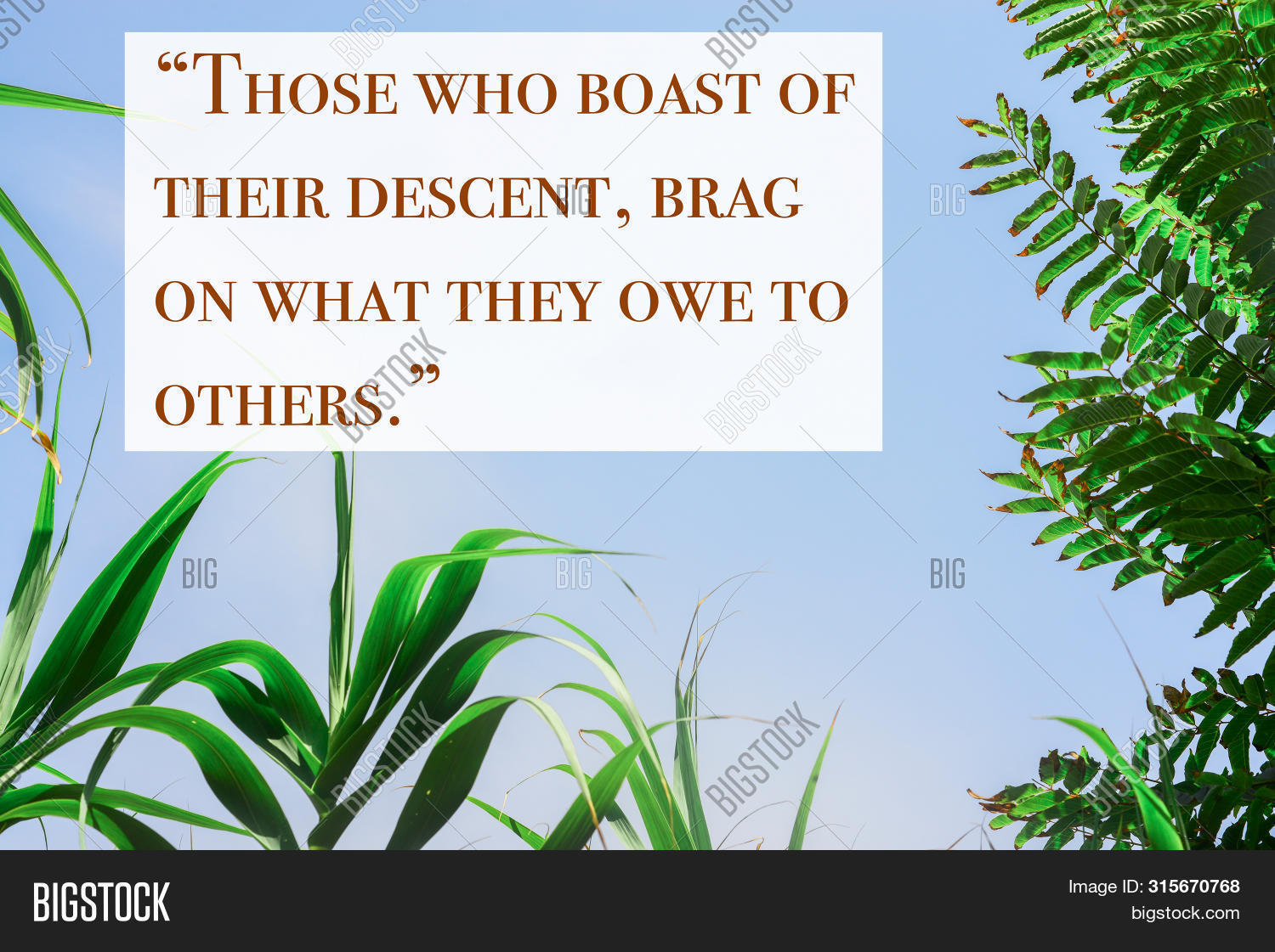 Wise Quote By Ancient Image & Photo (Free Trial) | Bigstock