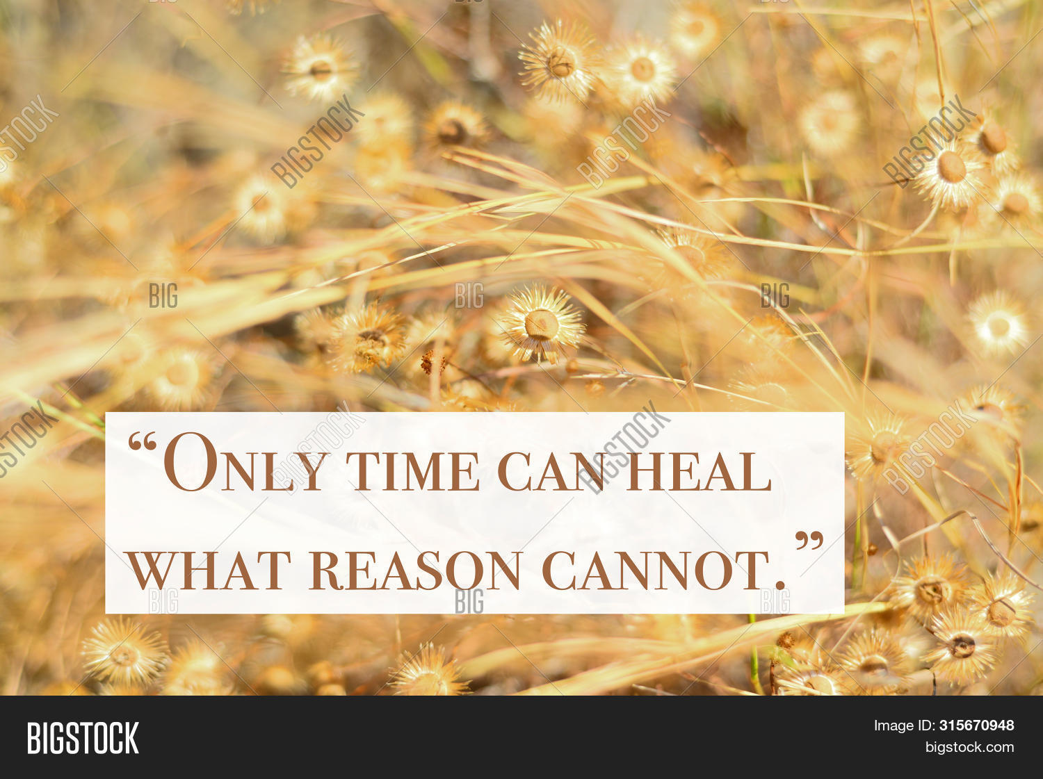 Wise Quote By Ancient Image & Photo (Free Trial) | Bigstock