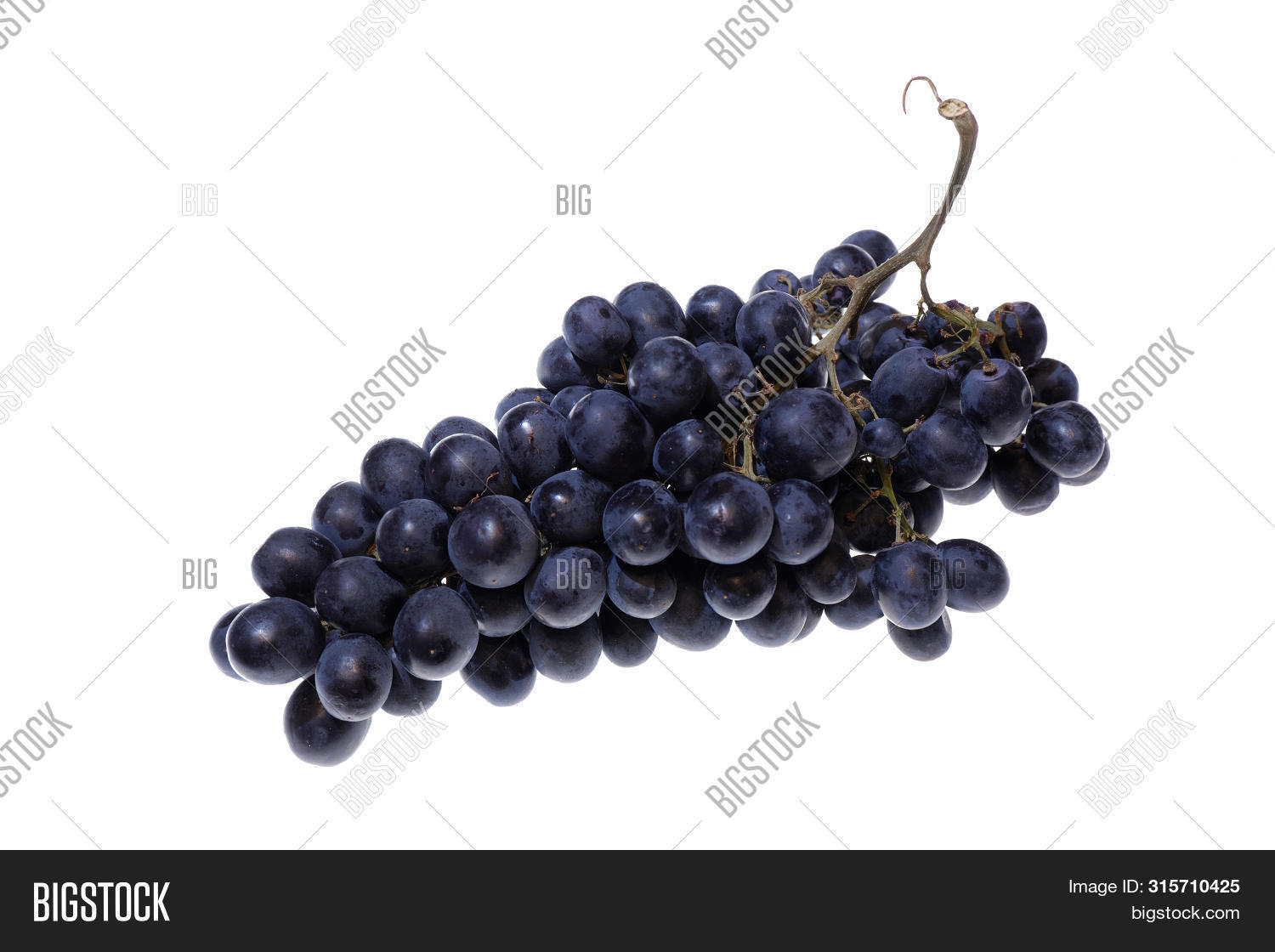 Fresh Blue Grapes On Image & Photo (Free Trial) | Bigstock