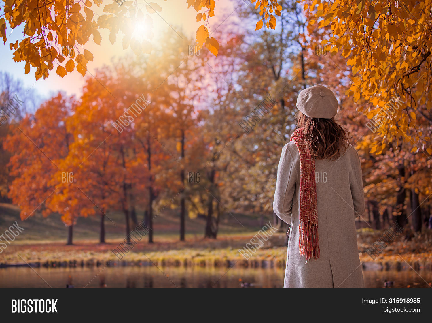 Autumn Nature Photography