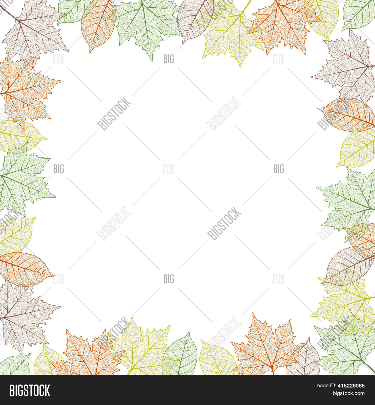 Maple Tree Leaf Frame Image & Photo (Free Trial) | Bigstock