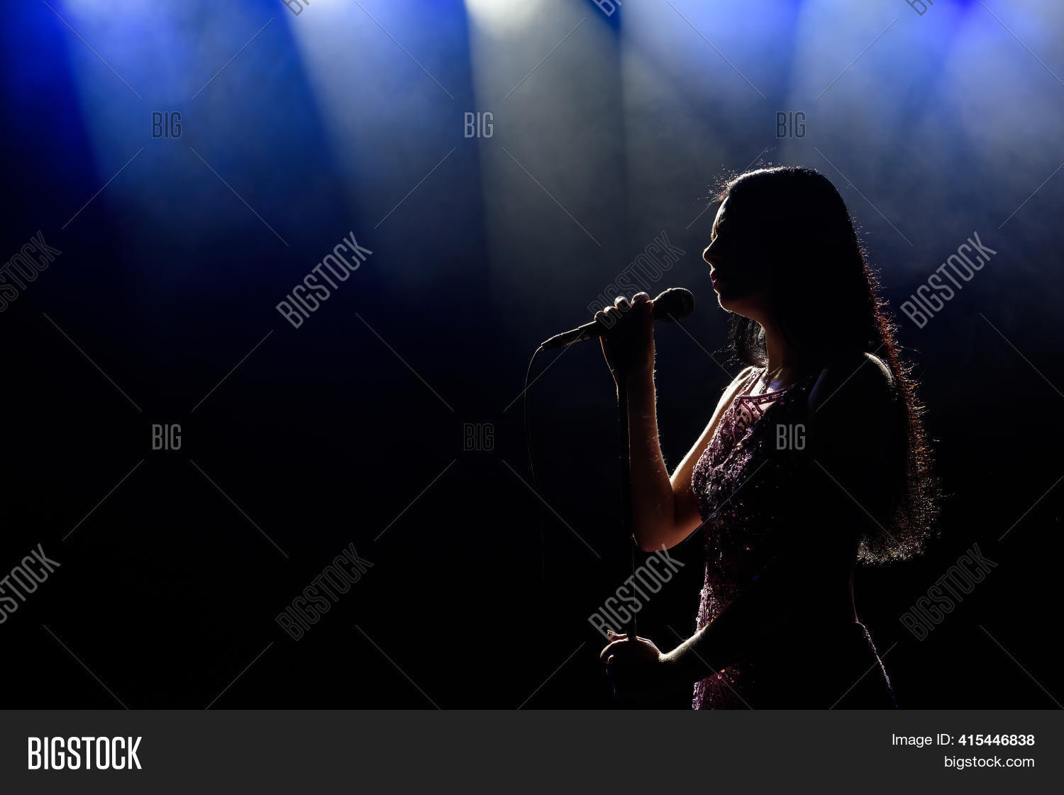 Singer Woman On Stage Image & Photo (Free Trial) | Bigstock