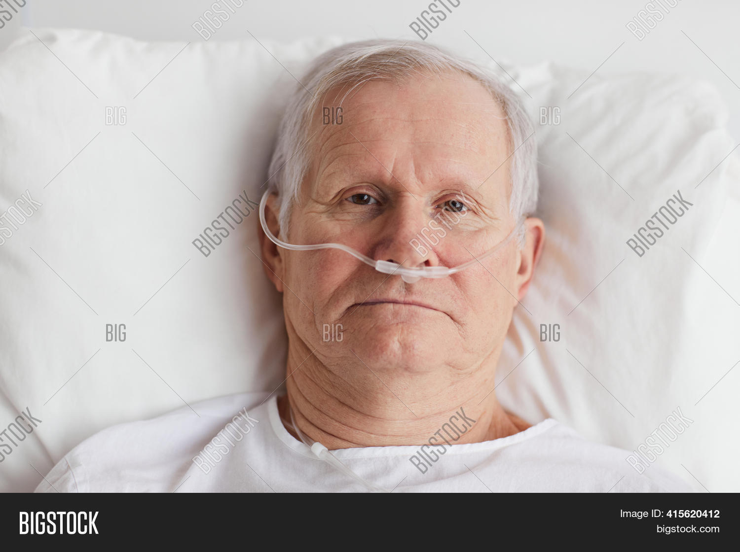 Top Down Portrait Image & Photo (Free Trial) | Bigstock