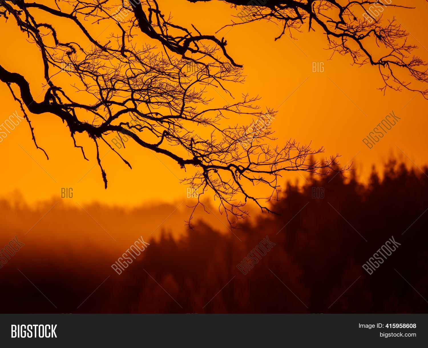 Beautiful Diffused Image & Photo (Free Trial) | Bigstock